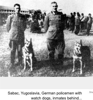 Los perros de las SS – Política y otras cosas